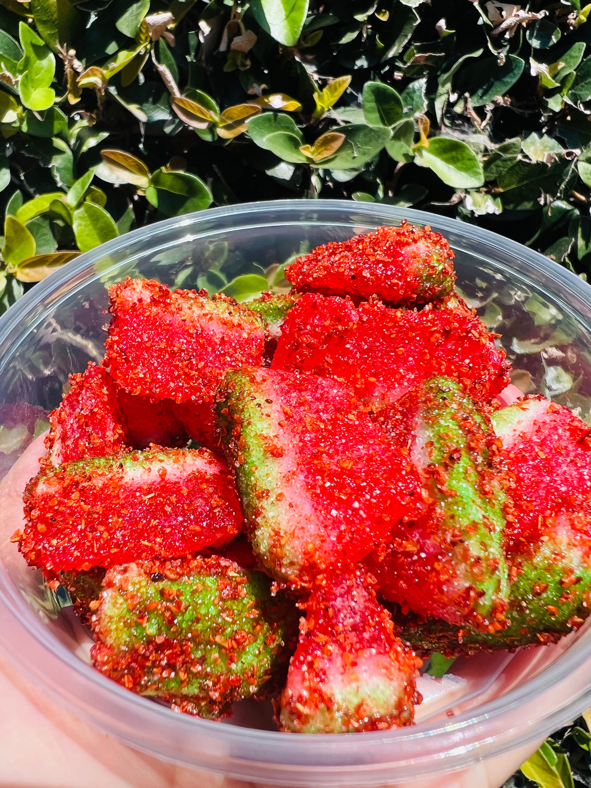 Watermelon Slices | TAMARINDO LINDO